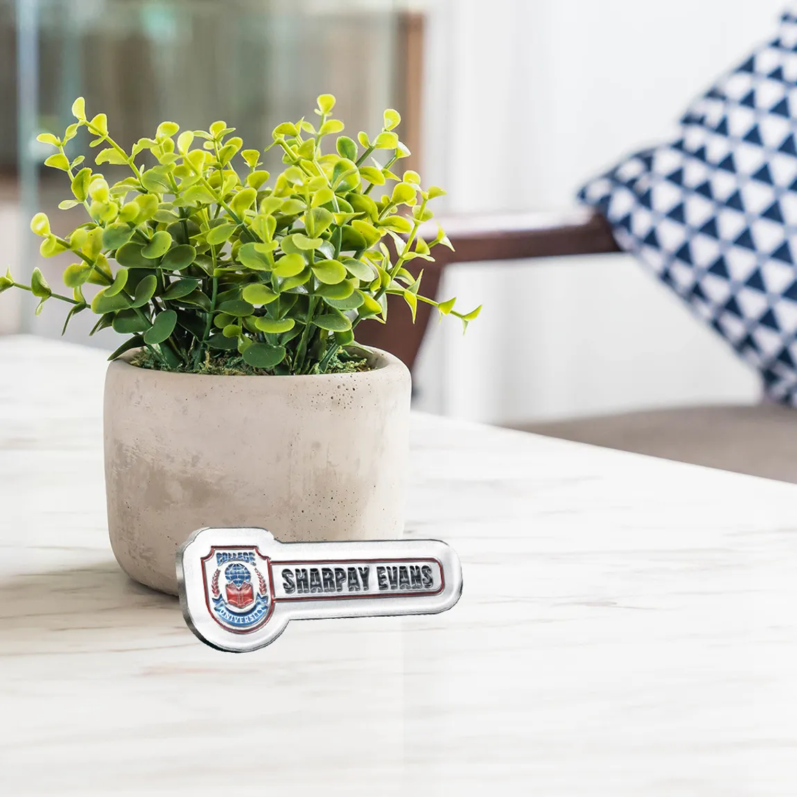 Custom Soft Enamel Badge Pins for Schools